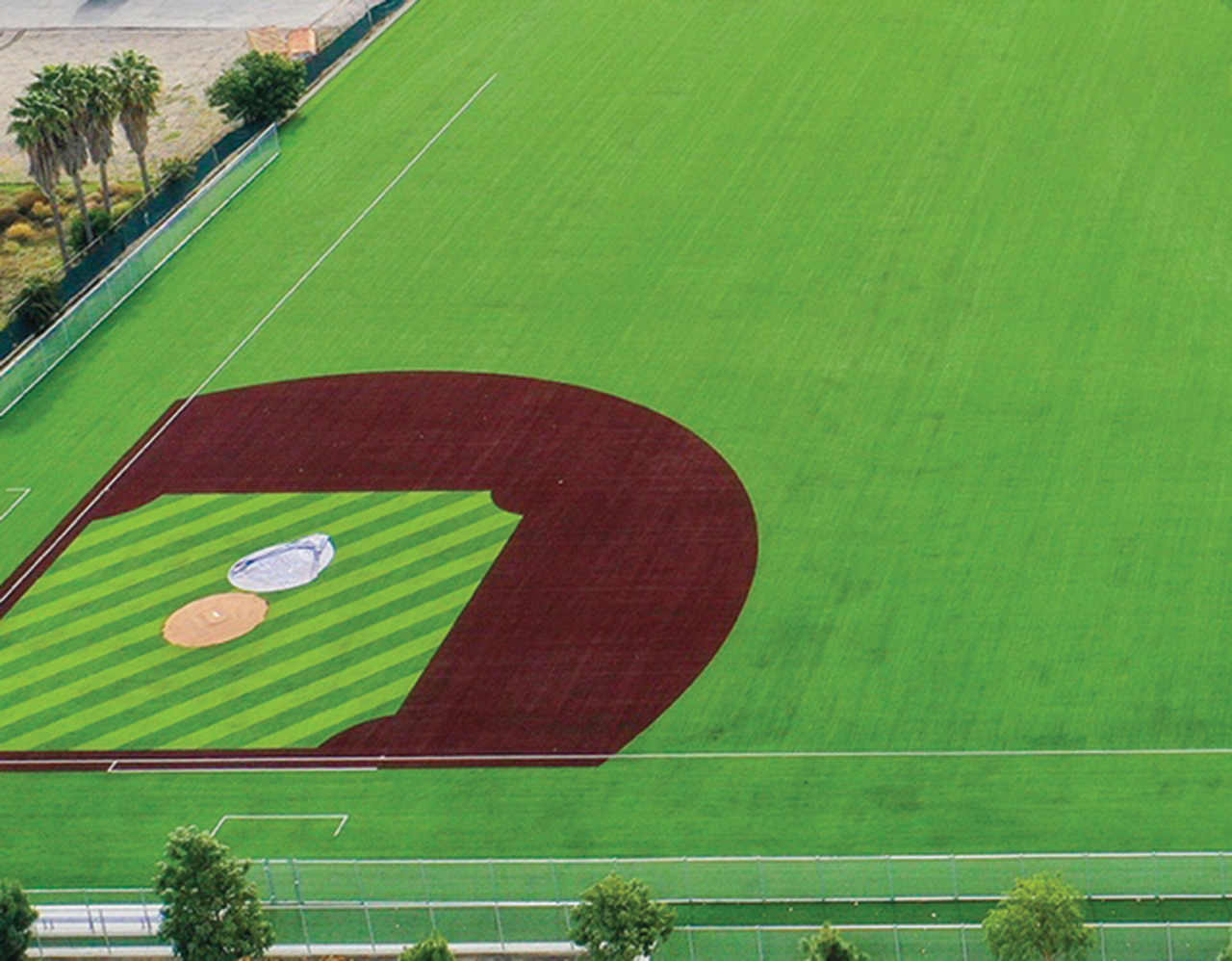 AstroTurf | Landscape Architect