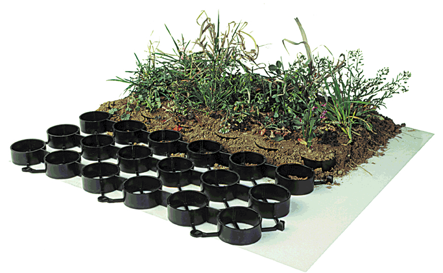 Invisible Structures, Inc. | Landscape Architect