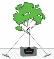 MacLean Civil Products- Duckbill Duckbill Tree Supports | Landscape ...